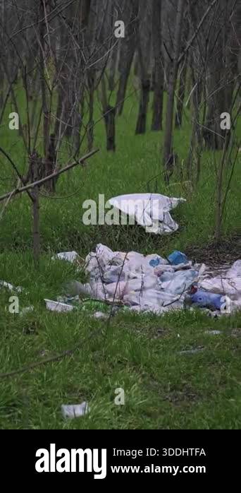 A large pile of plastic garbage and bags lies dumped in a green forest ...