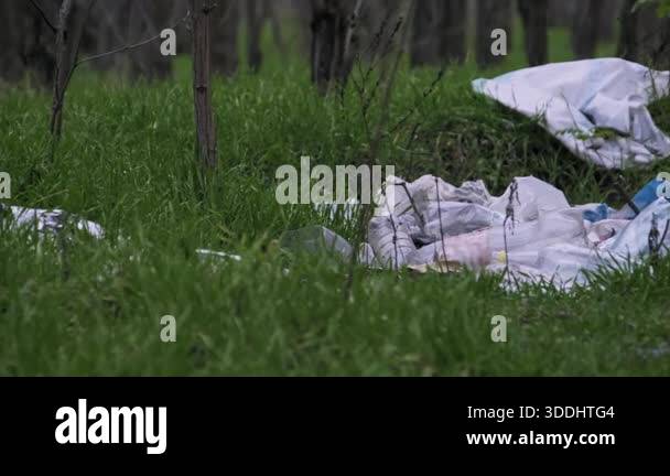 Plastic bags and rubbish lie scattered across the grassy forest floor ...