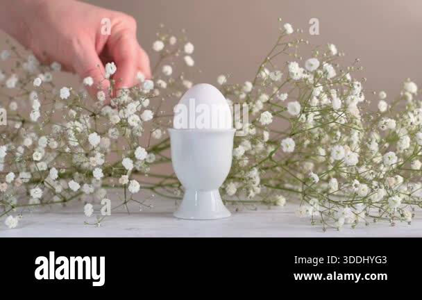 Close-up white egg in ceramic egg cup with gypsophila. Hands putting ...