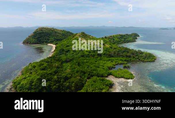 Dimanglet Island with green forest and jungle. Beach and corals with ...