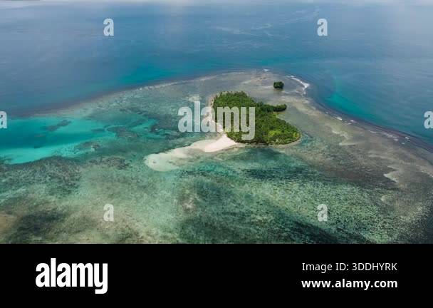 Aerial view of dense green island with sandy beach and coral reef lies ...