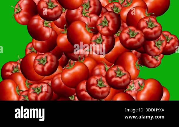 Expanding fresh red tomatoes motion graphics with green screen ...
