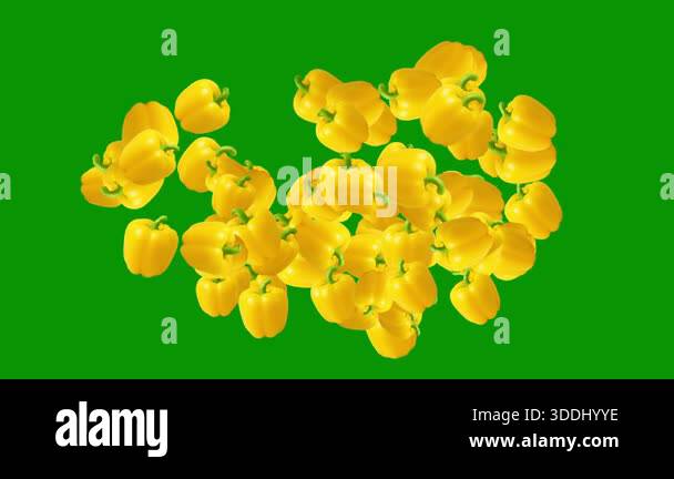 Fresh yellow Capsicums fountain stream motion graphics with green ...