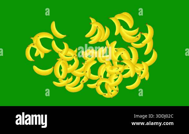 Fresh yellow bananas fountain stream on green screen background Stock ...