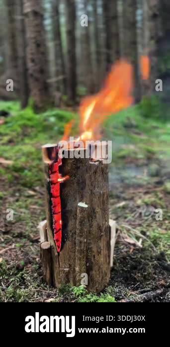 Outdoor fire with Swedish torch log burning brightly in summer forest ...