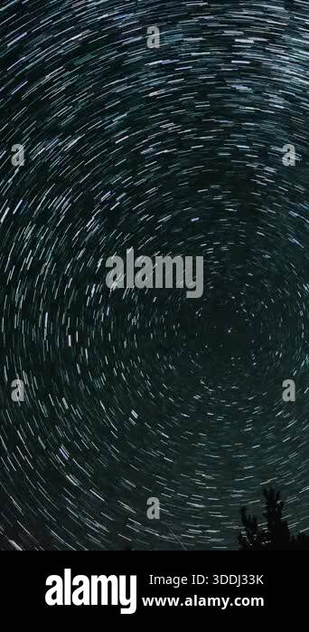 Circular trails of stars above the forest, long exposure of the night ...