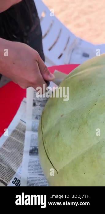 Slicing a very large, light green watermelon. A persons hands use a ...