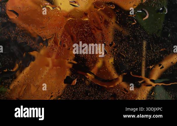 Vertical video. Wet glass. Flower art. Defocused orange yellow green ...
