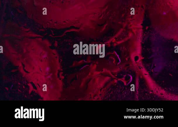 Vertical video. Water drip. Floral background. Defocused red color lily ...