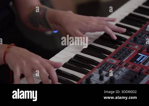Closeup Tattooed Hands On Keyboard, Warm Studio Lighting Capturing ...