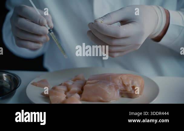 Genetic injection into raw chicken meat. Scientist doing injection to ...