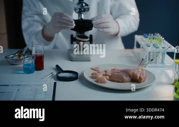 Food quality control concept. Lab assistant testing GMO chicken ...