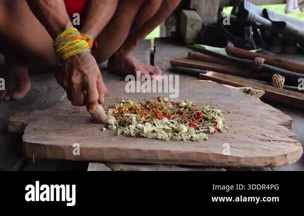 SIBERUT, INDONESIA - November 15, 2025: Mentawai shaman in the ...