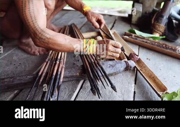 SIBERUT, INDONESIA - November 15, 2025: Mentawai shaman in the ...