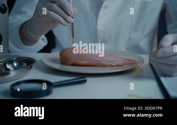 Genetic injection into raw chicken meat. Scientist doing injection to ...