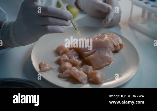 Genetically modified meat. GMO food concept. Genetic injection. Food ...