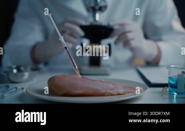 Food quality control concept. Lab assistant testing GMO chicken ...