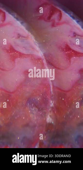 Vertical video. Optical effect paint. Art fluid blur. Pink red gray ...