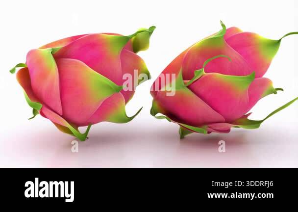 Realistic 3D animation of a whole and sliced dragon fruit rotating on a ...