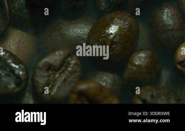Roasted Coffee Beans With Swirling White Smoke on Black Background Copy ...