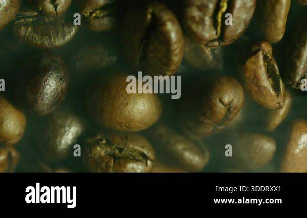 Roasted Coffee Beans With Swirling White Smoke on Black Background Copy ...