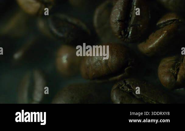 Roasted Coffee Beans With Swirling White Smoke on Black Background Copy ...