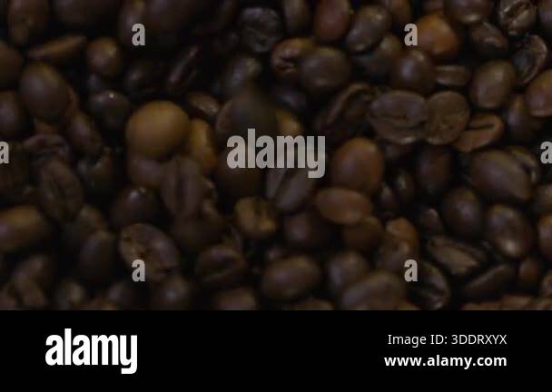 Roasted Coffee Beans With Swirling White Smoke on Black Background Copy ...