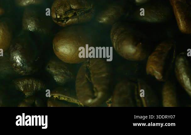 Roasted Coffee Beans With Swirling White Smoke on Black Background Copy ...