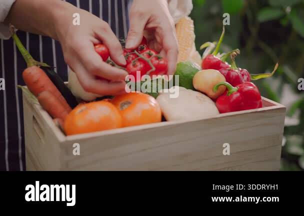 Farmer in striped apron grabbing fresh fruit and organic vegetables ...