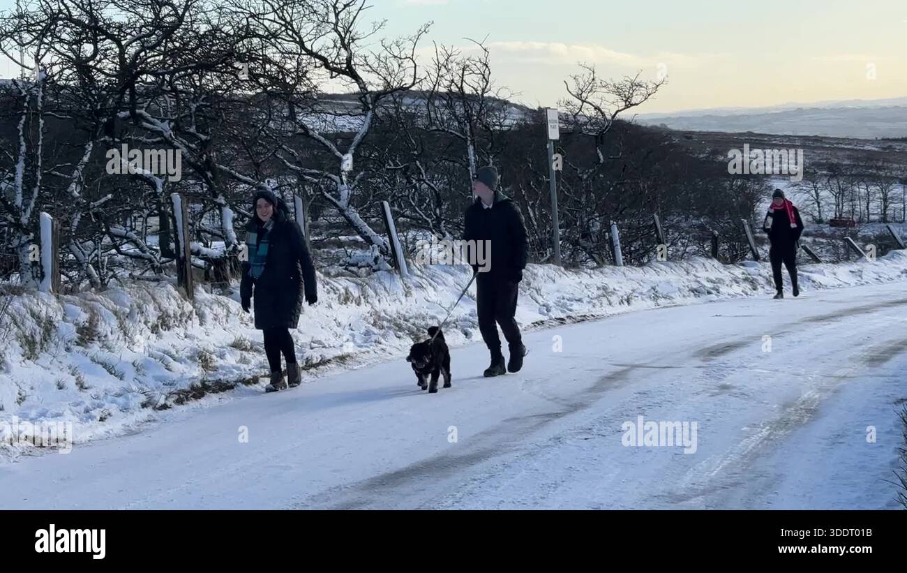 Winter in belfast Stock Videos & Footage - HD and 4K Video Clips - Alamy