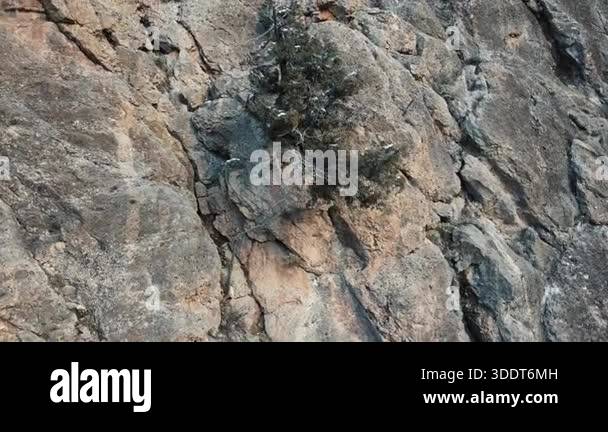 Aerial flight shooting of beautiful rocks texture mountain peaks cliff ...