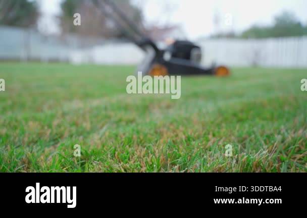 Green lawn grass on a lawn mower background on a blurred background ...