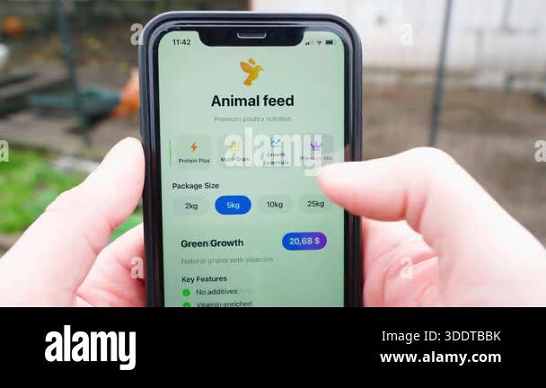 Farmer buying chicken feed through mobile app with delivery, close-up ...