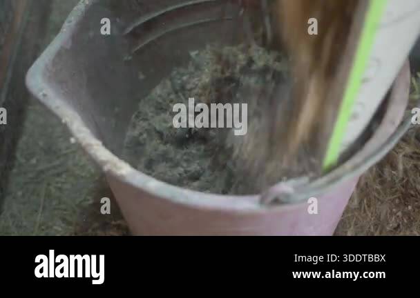 Manure handling Stock Videos & Footage - HD and 4K Video Clips - Alamy