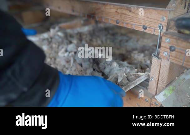 Cleaning up chicken droppings in a chicken coop, close-up in slow ...