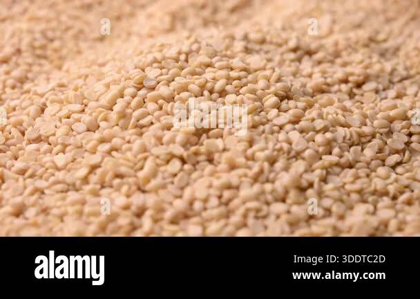 Raw Split Dried White Urad Dal - Split Raw Black Gram Lentils Isolated ...