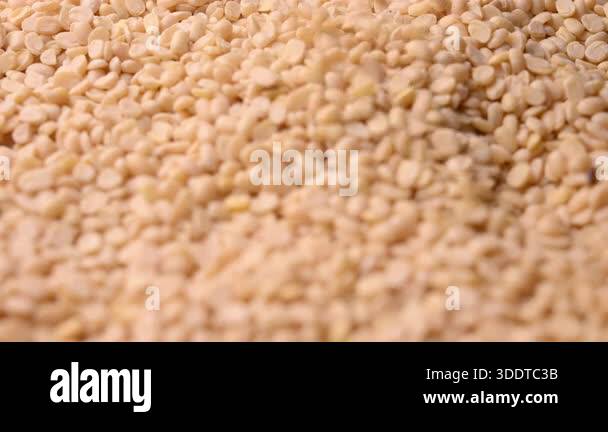 Raw Split Dried White Urad Dal Drop From Above- Split Raw Black Gram ...