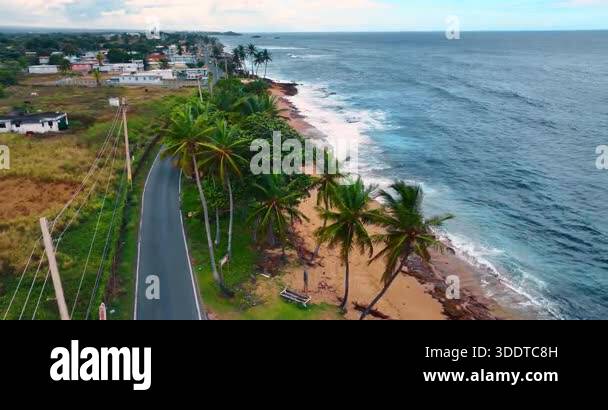 Waves roll to the shore with sandy beach. Palm trees sway in the wind ...