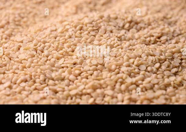 Raw Split Dried White Urad Dal - Split Raw Black Gram Lentils Isolated ...