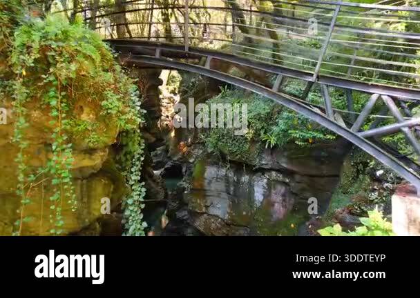 A bridge spans a narrow gorge filled with rocks and flowing water. Lush ...