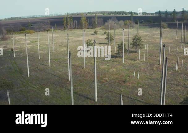 Aerial view on old abandoned electric farm with many utility poles ...