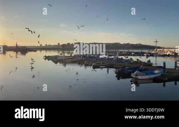 Boats at Pier on Sunset with Many Seagulls Flying 4K Stock Video ...