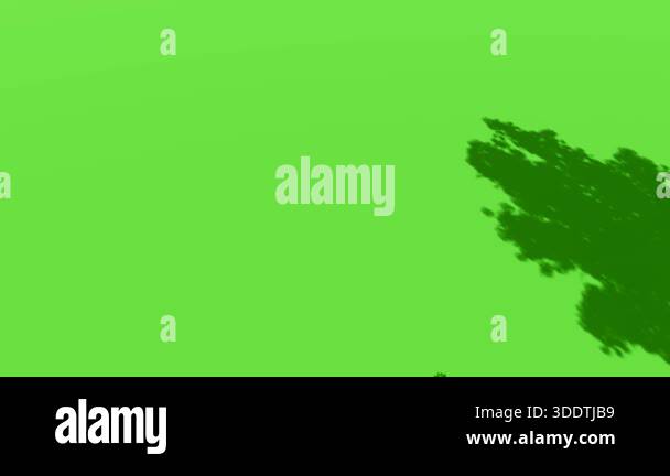 Tree Shadow GreTree Shadow Green Screen Natural Motionen Screen Natural ...