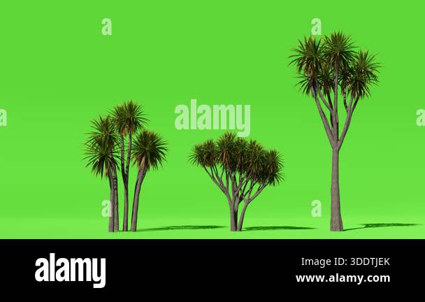 Green Screen Plant Growth Animation Motion Stock Video Footage - Alamy