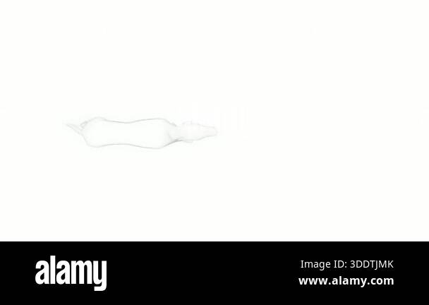 Moving Animal Sketch Animation Stock Video Footage - Alamy