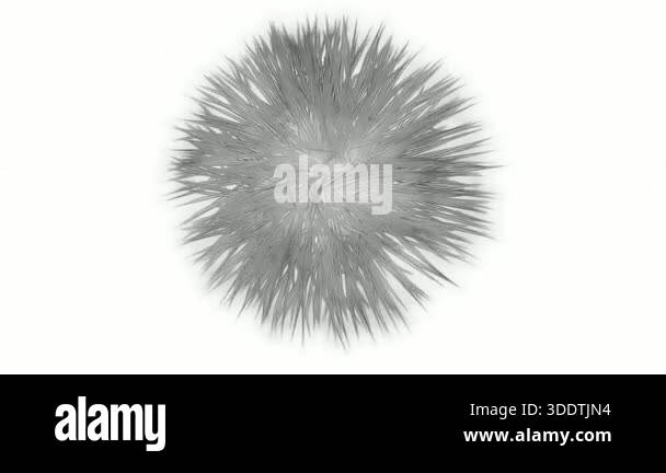 Sketch Grass Wind Motion Animation Stock Video Footage - Alamy
