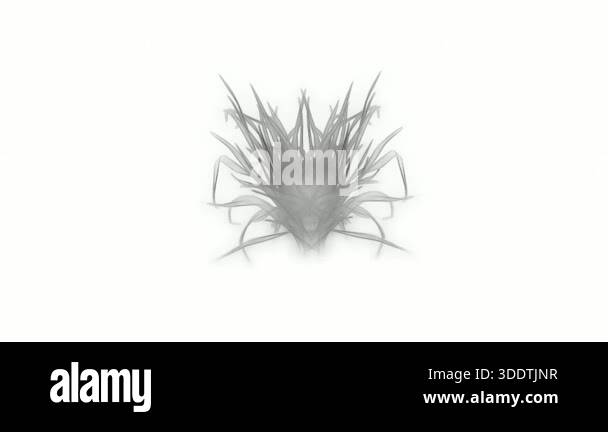 Sketch Grass Wind Motion Animation Stock Video Footage - Alamy