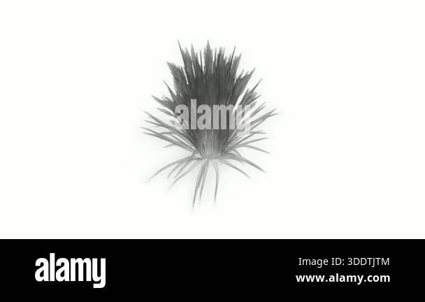 Sketch Grass Wind Motion Animation Stock Video Footage - Alamy