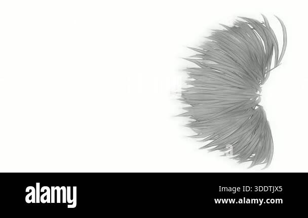 Sketch Grass Wind Motion Animation Stock Video Footage - Alamy