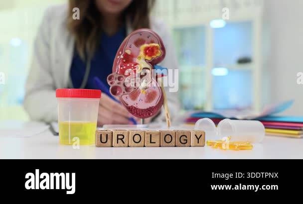 Wooden cubes spell word Urology on white medical desk with kidney model ...